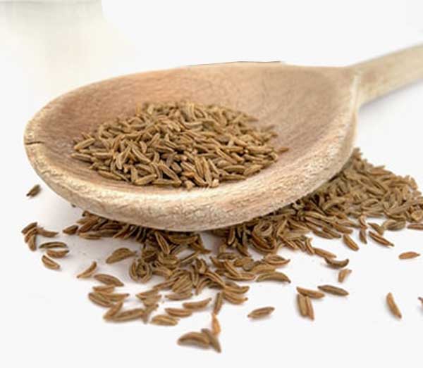 Spices - Food Nation