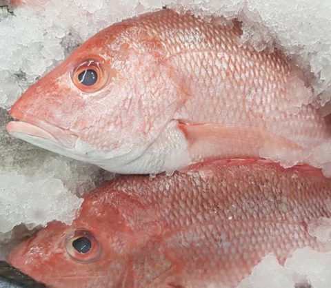 Sea Bream - Food Nation