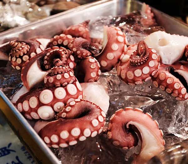 Frozen Japanese Food - Food Nation